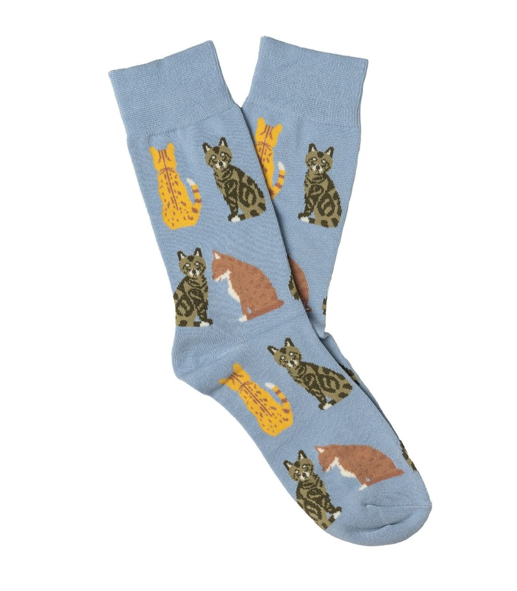 Cats| Cat Socks|Canberra Socks | Capital Socks Australia – CAPITAL SOCKS